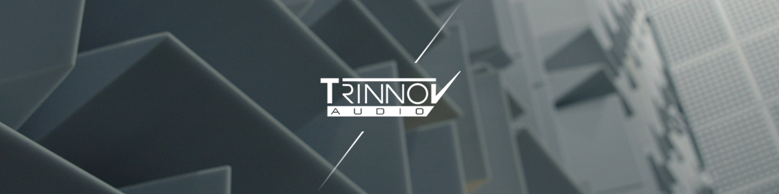 Trinnov Audio | Paragon Sight & Sound