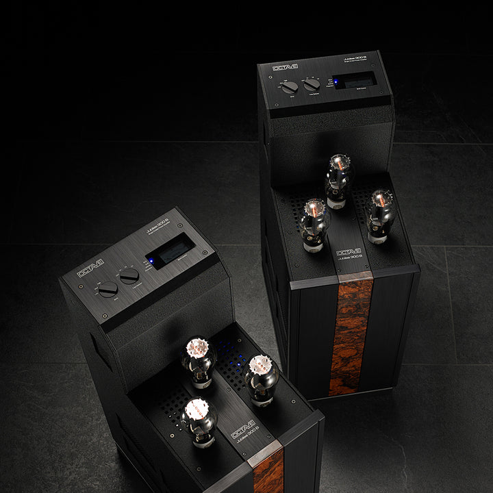 Octave Jubilee 300 B Monoblock Amplifiers | Paragon SNS