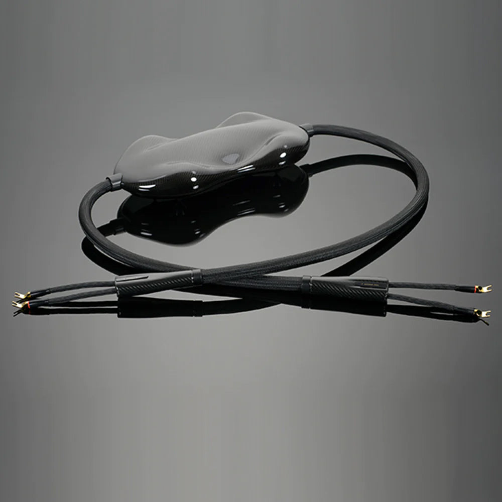 High End Home Audio Store | Paragon Sight & Sound