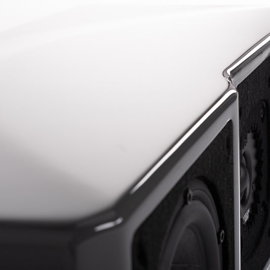 Wilson Audio WASAE Center Speaker | Paragon Sight & Sound